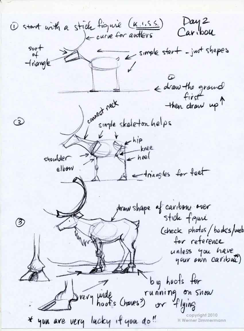 Twelve Days of Drawing: Drawing the Caribou - Werner Zimmermann Books